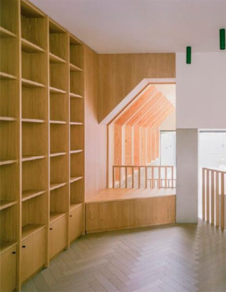 Roble blanco americano – AEIM